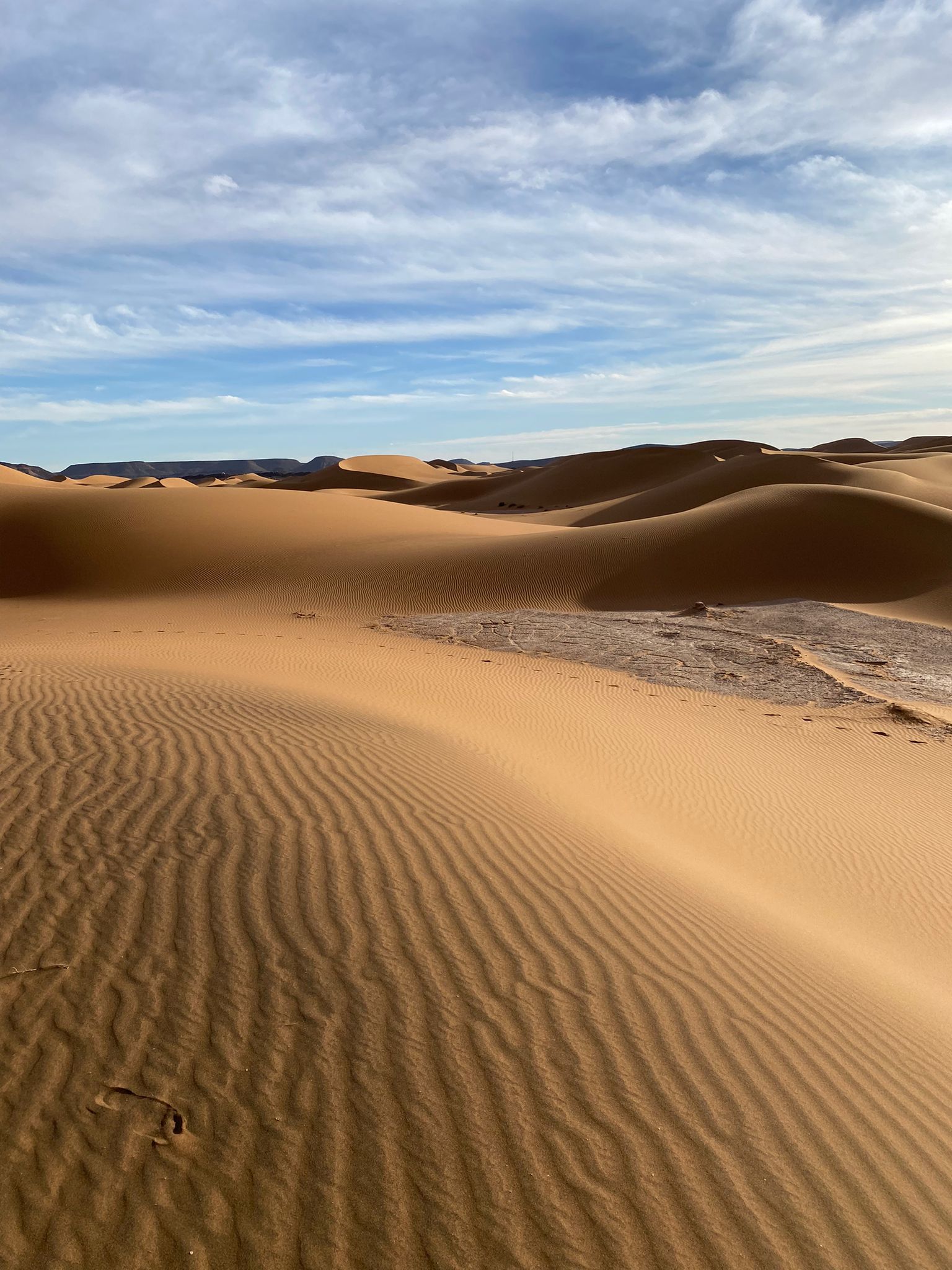 Couleurs du Sahara 8J/7N - Cadence du désert